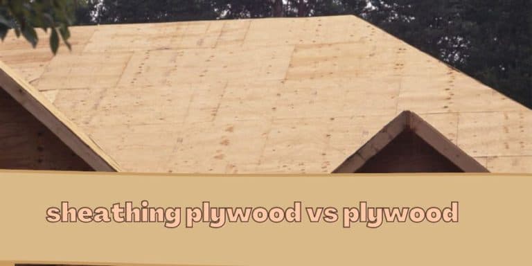 sheathing plywood vs plywood - WoodWorkingToolsHQ