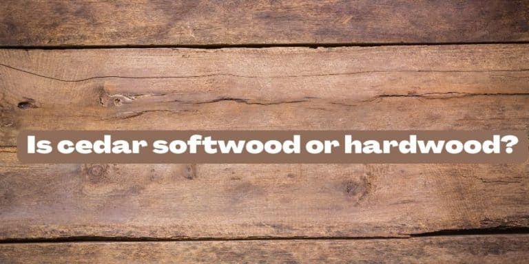 Is Cedar Considered a Hardwood? Key Facts You Need
