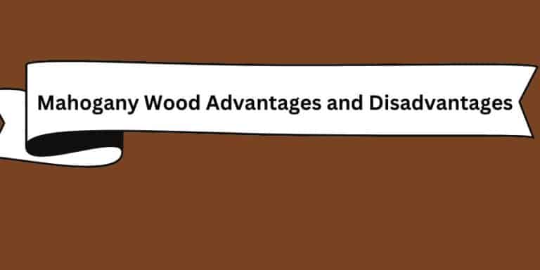 Mahogany Wood Advantages and Disadvantages - WoodworkingToolsHQ