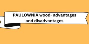 PAULOWNIA wood- advantages and disadvantages - WoodworkingToolsHQ