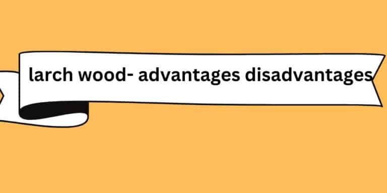 larch wood- advantages disadvantages - WoodworkingToolsHQ